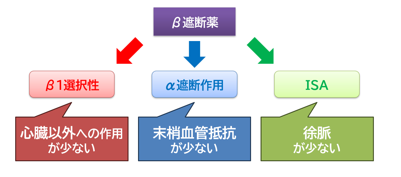 『メインテート』と『アーチスト』、同じβ遮断薬の違いは？～β1選択性とα遮断作用による使い分け | お薬Q＆A 〜Fizz Drug ...