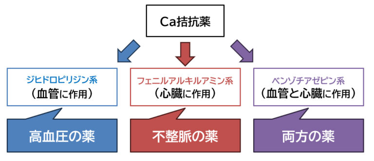 『アムロジン』・『ワソラン』・『ヘルベッサー』、同じCa拮抗薬の違いは？～血管と心臓に対する作用の差 | お薬Q＆A 〜Fizz Drug ...