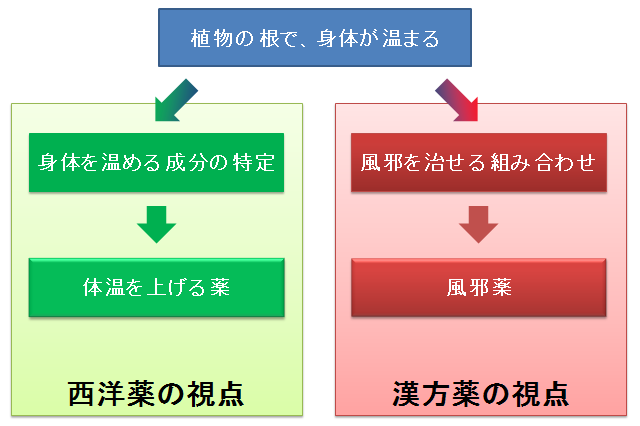 漢方薬と西洋薬は、何が違うの？～研究・開発の考え方から異なる薬 お薬q＆a 〜fizz Drug Information〜
